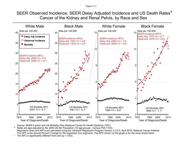 Browse the Tables and Figures - SEER Cancer Statistics Review (CSR ...