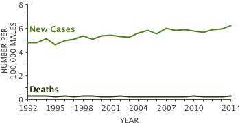 Testiscular Cancer - Cancer Stat Facts